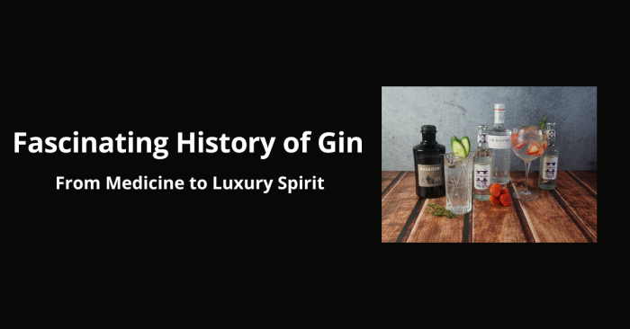 The Fascinating History of Gin: From Medicine to Luxury Spirit ...