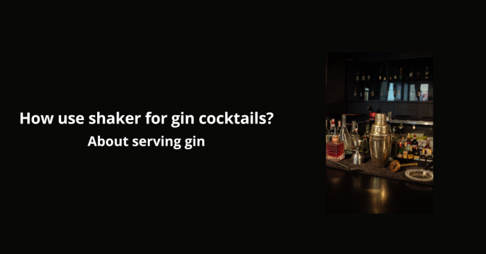 How use shaker for gin cocktails? - Delicious Gin