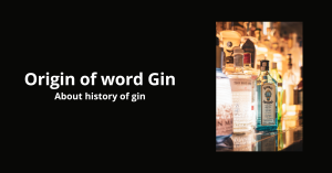 What is the origin of the word gin? - Delicious Gin
